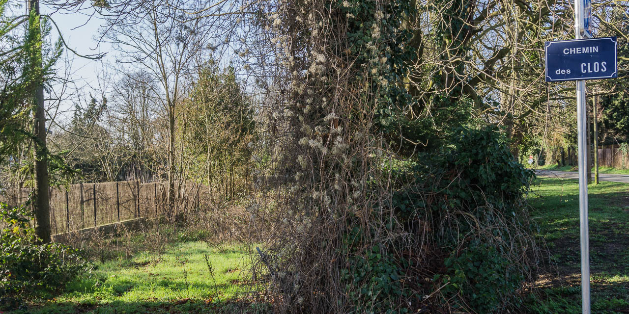 Un verger partagé pour exploiter un terrain inondable - La Gazette en ...